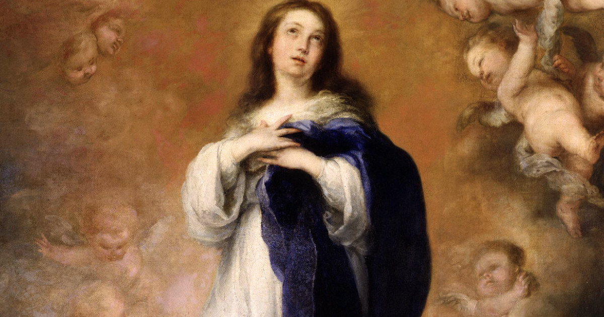 Why the Solemnity of the Immaculate Conception? | Covenant Network ...